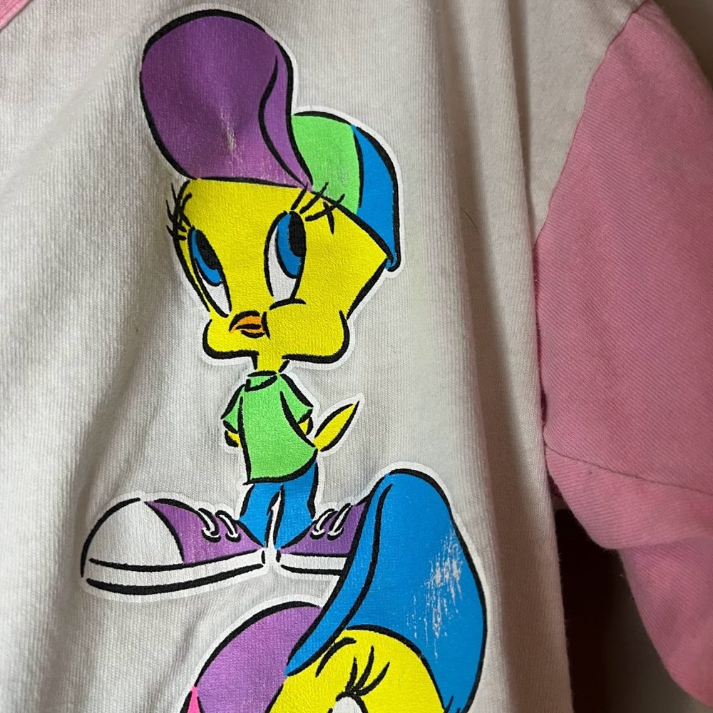 Rare Vintage 1995 Looney Tunes Daffy Duck Tweety Bird… - Gem